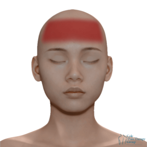 Understanding Headaches: Types, Causes, and Simple Ways to Find Relief ...